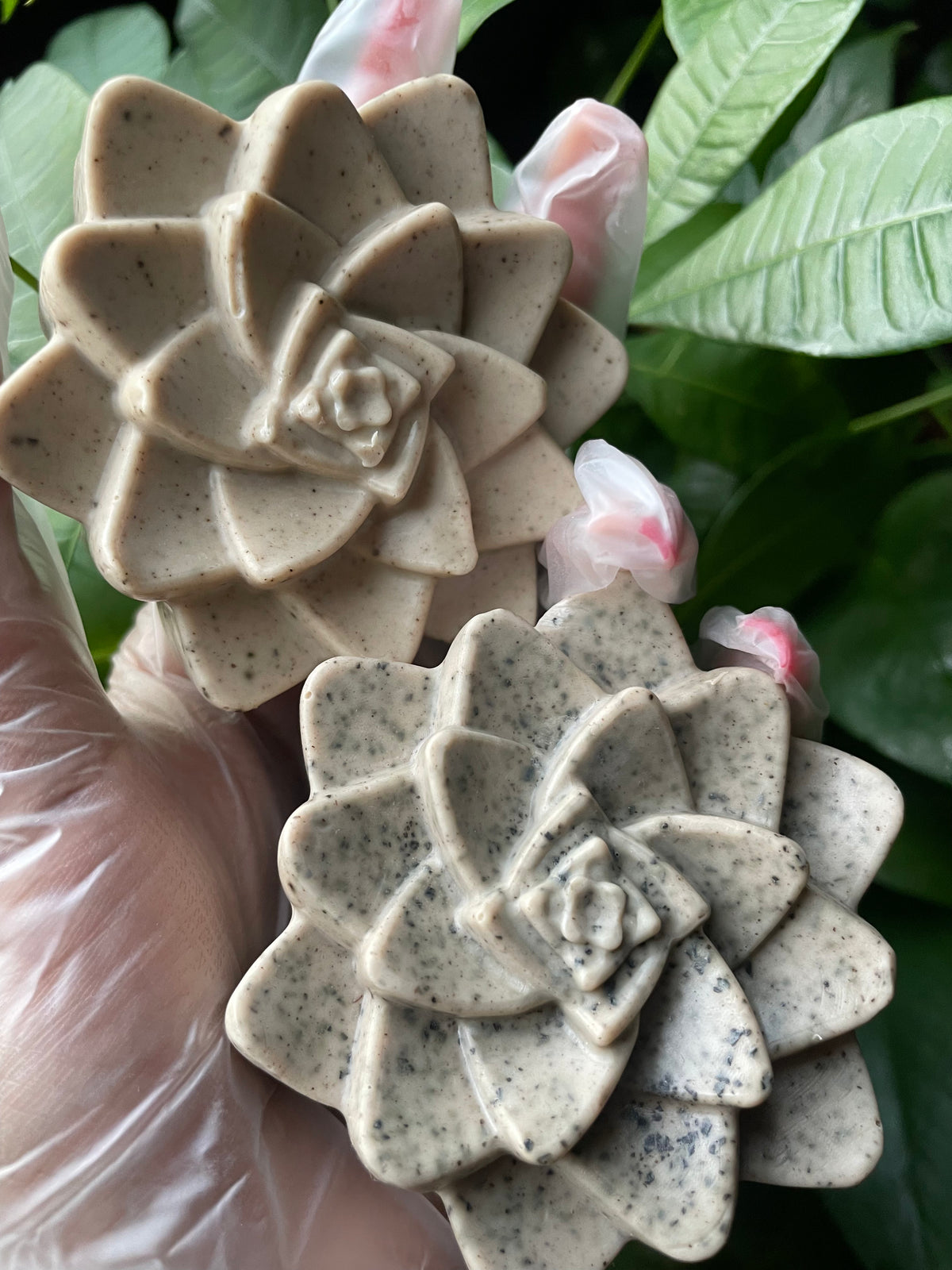 Cashmere Cafe Shampoo Bar | lusciousbeauty