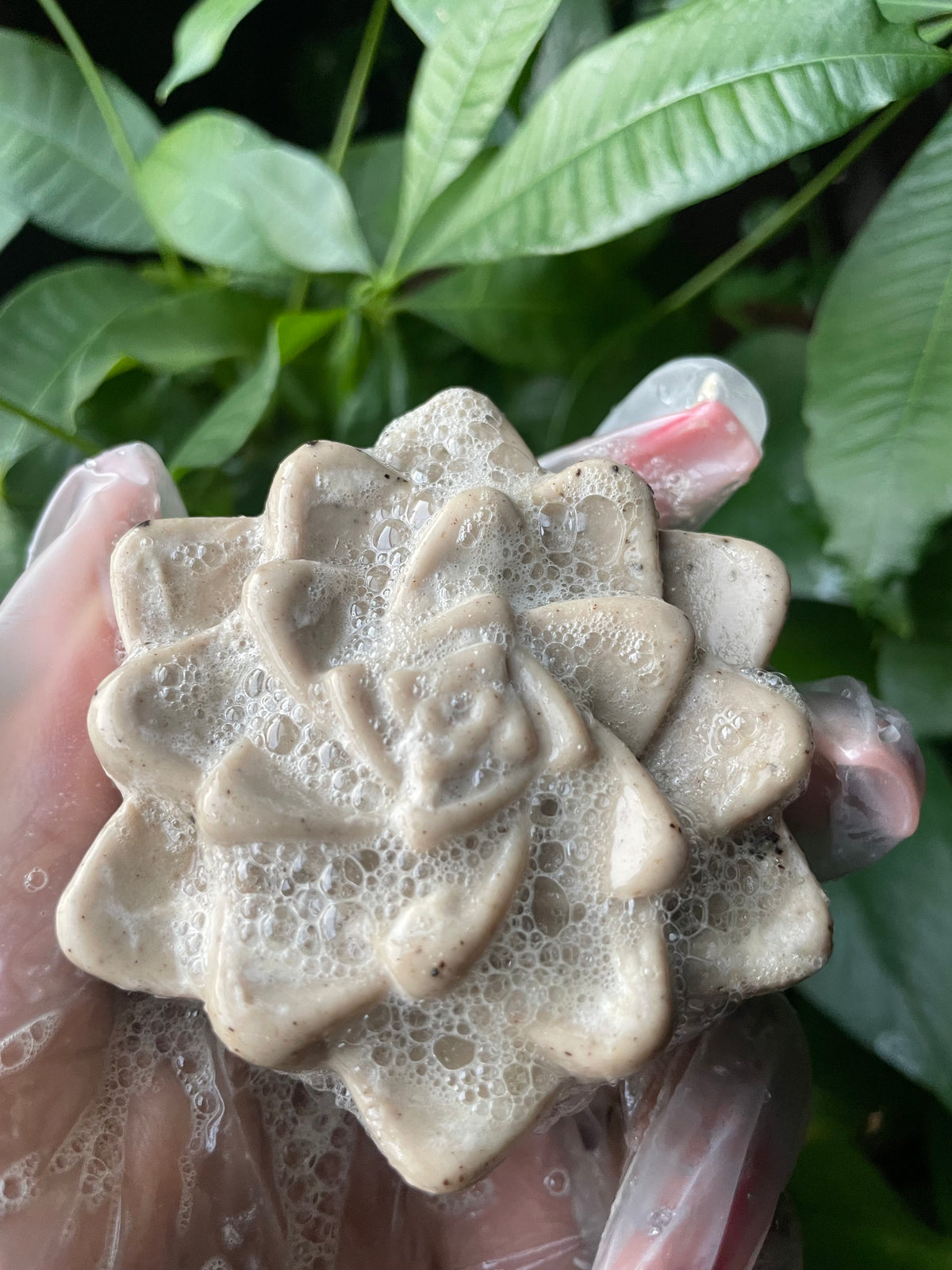 Cashmere Cafe Shampoo Bar | lusciousbeauty